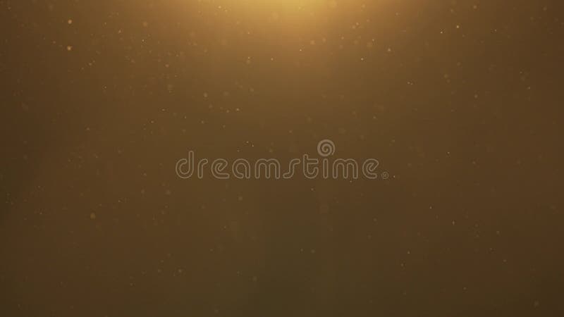 Many Dust Particles Slowly Floating in Warm Light on Empty Background ...