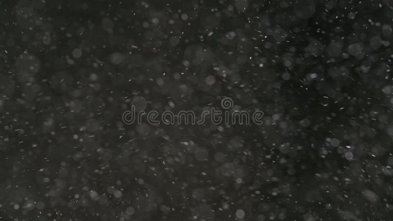 Many Dust Particles White Shining Powder Floating in Light on Empty Black Contrast Background ...