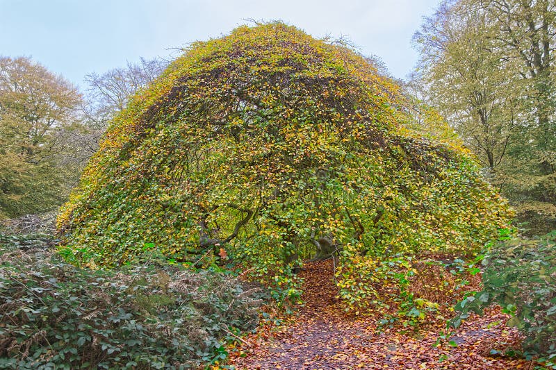 Country Many Dwarf People Stock Photos - Free & Royalty-Free Stock ...