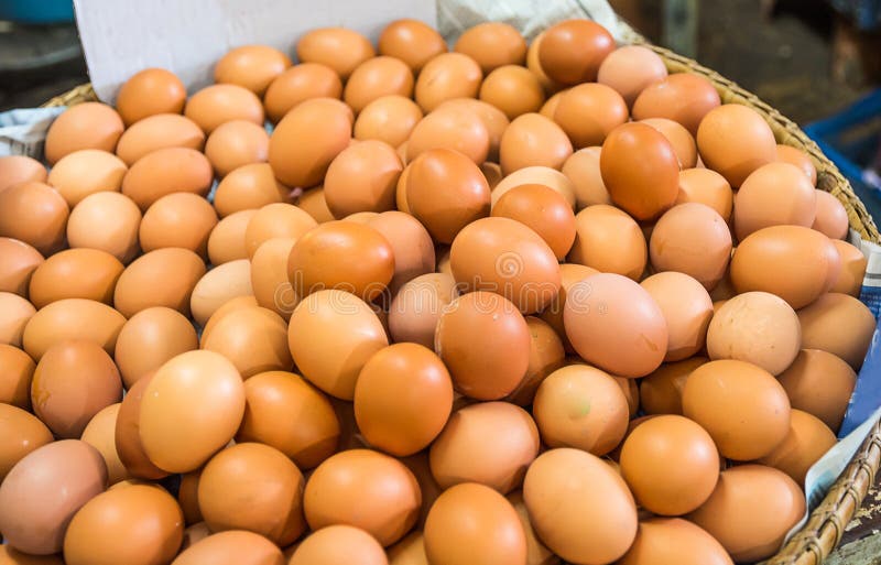 Many egg stock image. Image of agriculture, commodity - 92631883