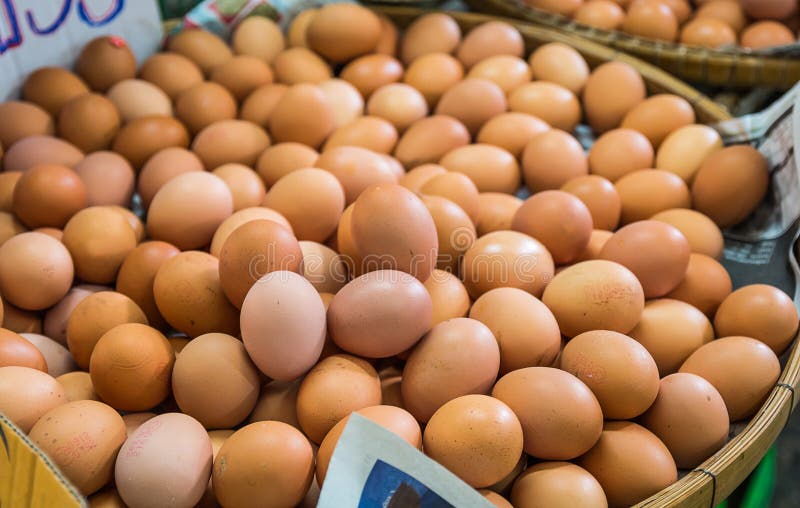 Many egg stock photo. Image of agriculture, commodity - 92631920
