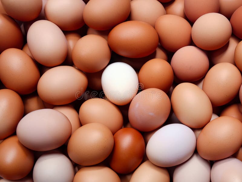 Many Carton Stock Illustrations – 2,426 Many Carton Stock Illustrations ...