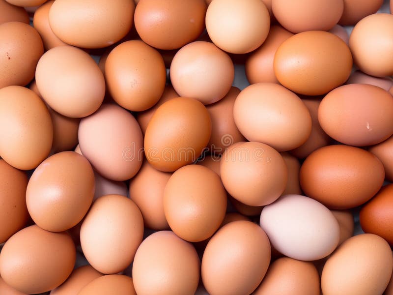 Many Eggs in a Carton Box, Top View Stock Photo - Image of eggs, nature ...