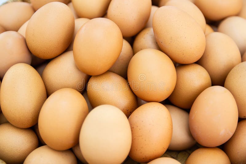 Many Eggs are Ingredients for Cooking Stock Photo - Image of cooking ...