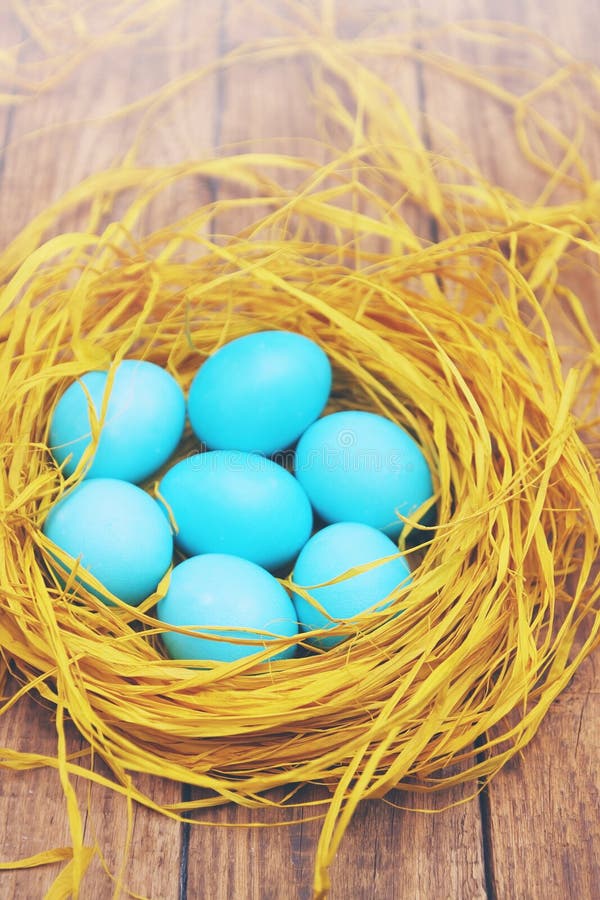 Many Eggs in the Nest, Tinted Stock Image - Image of copy, group: 51395027