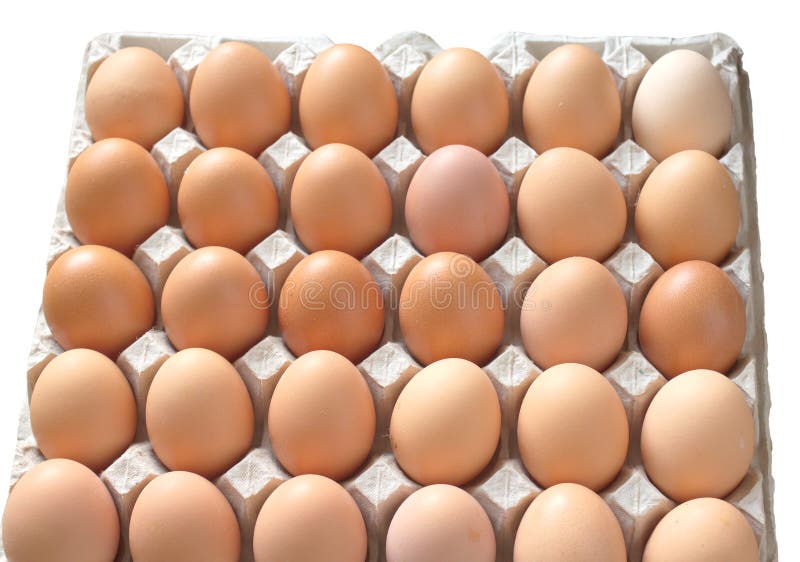 Many Eggs in Package Isolated Closeup Stock Image - Image of fresh ...
