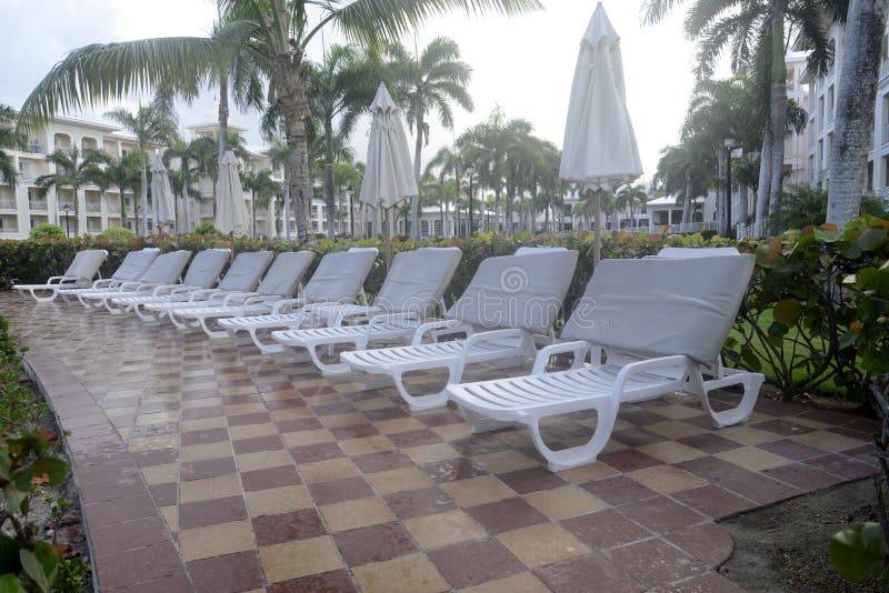 Many Empty Pool Lounge Chairs Stock Image - Image of tropics, vacation ...