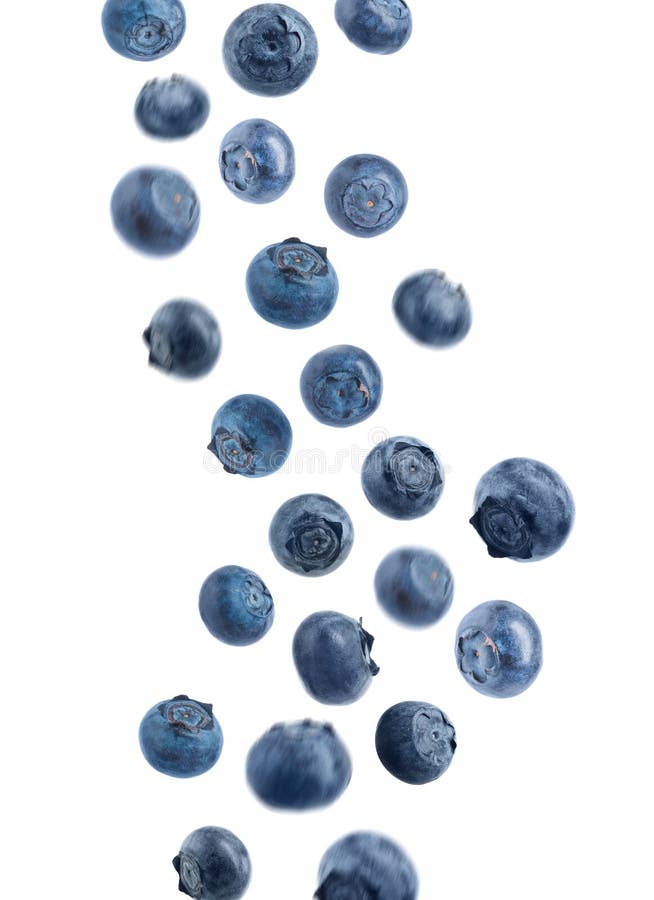 Many Falling Fresh Blueberries on White Stock Image - Image of natural ...