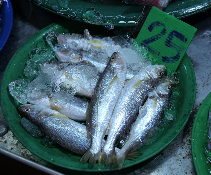 Many fish in Market harbor stock photo. Image of restaurant - 53776014