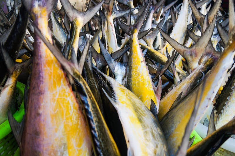 Many fish in the market stock image. Image of agriculture - 34867561