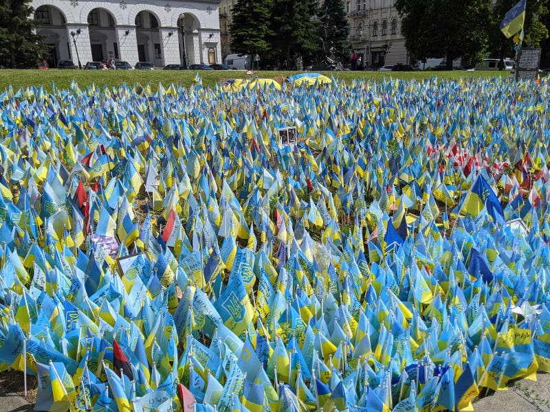 Many Flags of Ukraine in Memory of Fallen Soldiers Stock Photo - Image ...