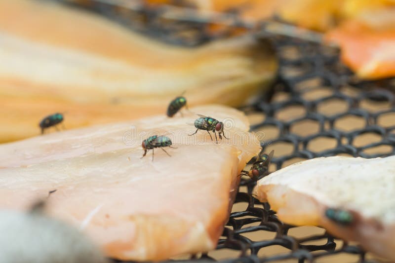 Diarrhea Fishing Reel Stock Photos - Free & Royalty-Free Stock Photos ...