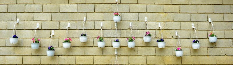 Flower Pots Hanging on Concrete Brick Wall, Stock Photo - Image of ...