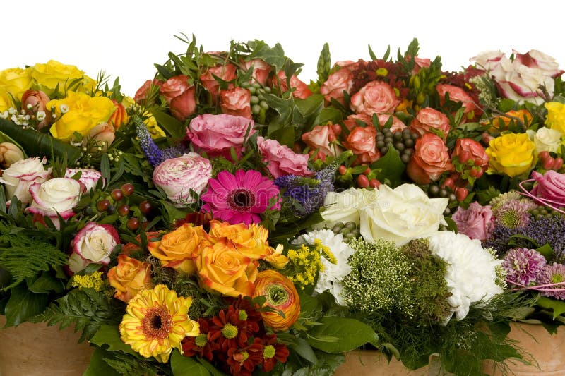 Many Flowers stock image. Image of isolated, blossom - 24001273