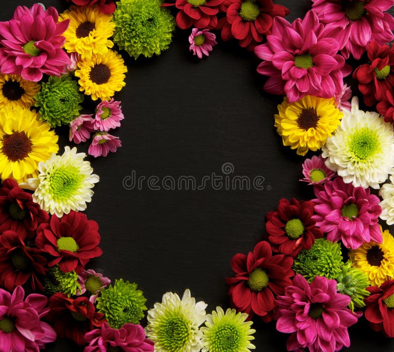 Many Flowers on Black Background Stock Photo - Image of design, beauty ...