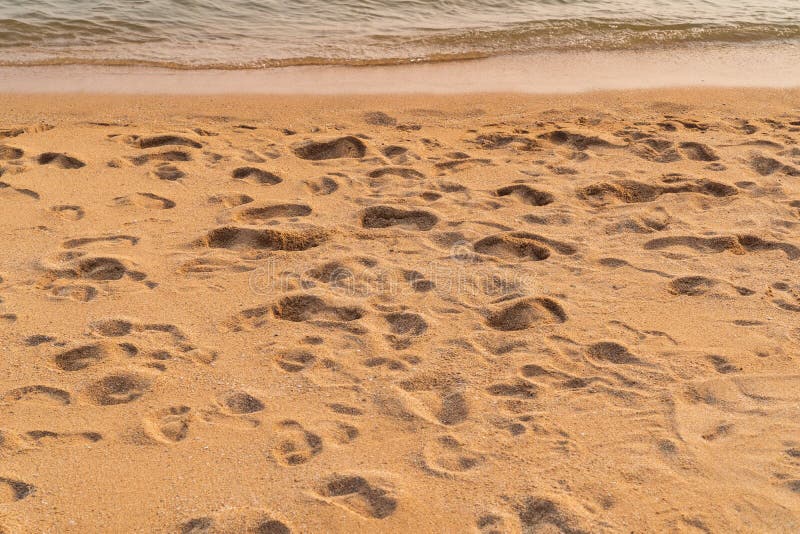 Many Footprints on the Beach Background. Stock Image - Image of ...