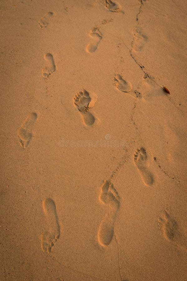 Many Footprints on the Sand Stock Image - Image of coast, ocean: 65177601