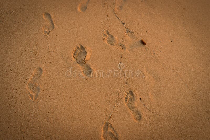 Many Footprints on the Sand Stock Photo - Image of peaceful, foot: 65177704
