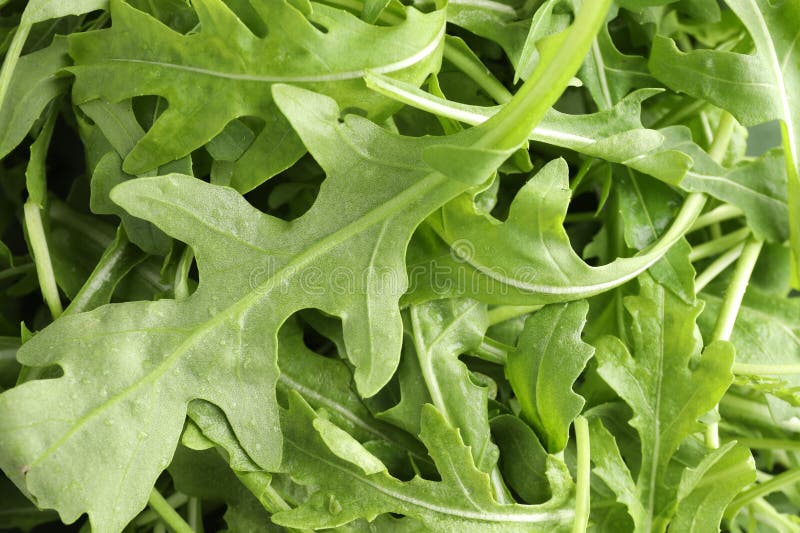 Many Fresh Arugula Leaves As Background, Above View Stock Image - Image ...