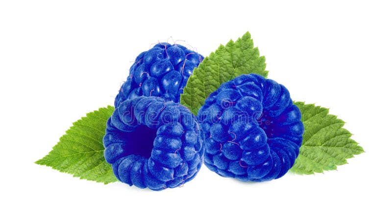 Many Fresh Blue Raspberries and Green Leaves Isolated on White Stock ...