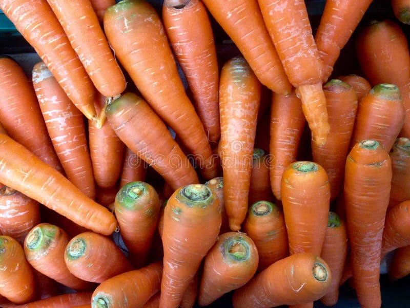 A Stack of carot stock image. Image of diet, dietetic - 70251585