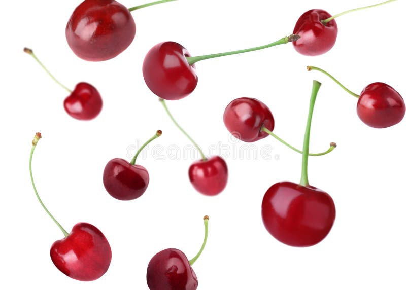 Many Fresh Cherries Falling on White Background Stock Image - Image of ...