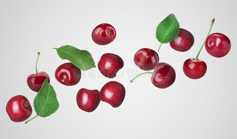 Many Fresh Cherries Falling on White Background Stock Image - Image of ...