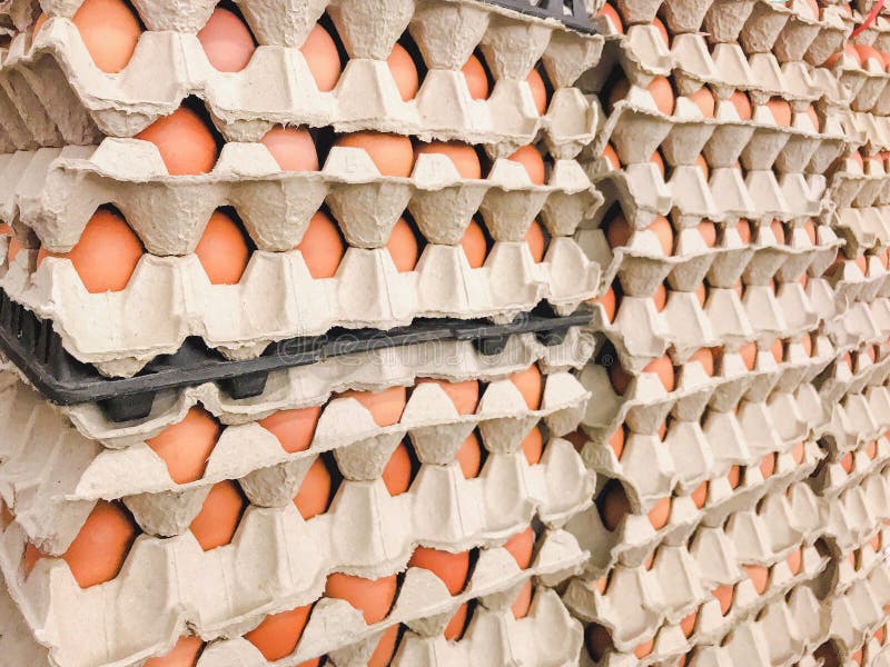Many Fresh Egg Panel Stacked in Layers Stock Photo - Image of food ...