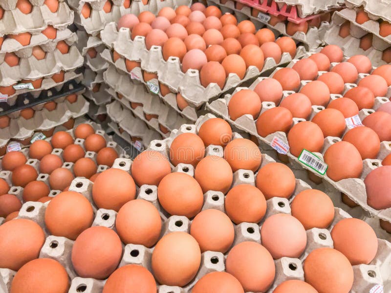Many Fresh Egg Panel Stacked in Layers Stock Photo - Image of line ...
