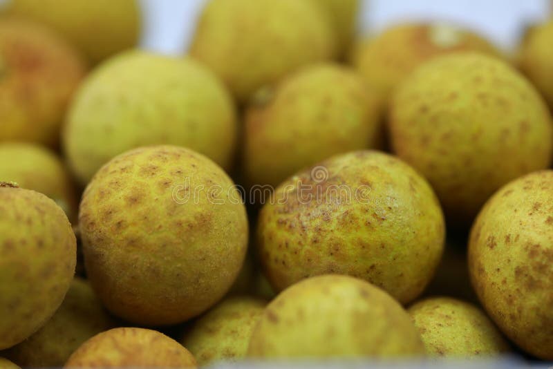 463 Longan Pulp Stock Photos - Free & Royalty-Free Stock Photos from ...