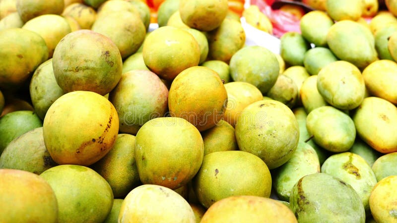 Many Fresh Mango Displaying at Local Store Stock Video - Video of green ...