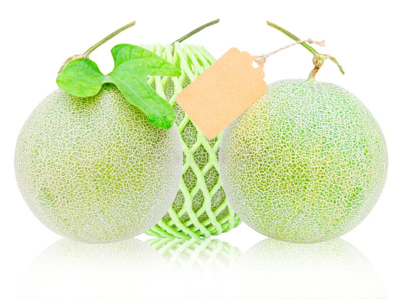 Many Fresh Melon Green Foam Net Stock Photos - Free & Royalty-Free ...
