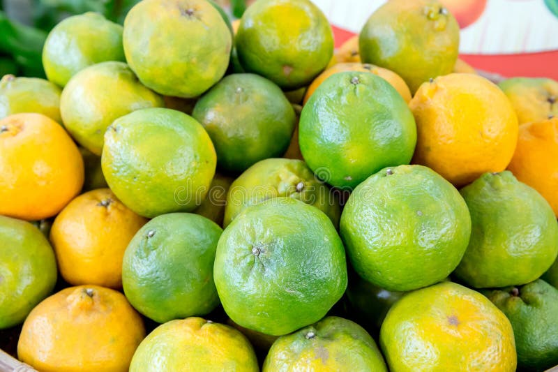 Many fresh oranges stock photo. Image of orange, single - 63257674