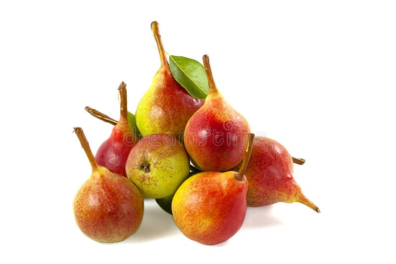 Many fresh pears stock photo. Image of harvest, healthy - 36944508
