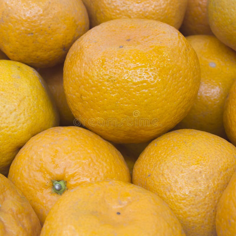 Many fresh raw orange stock image. Image of juicy, citrus - 47320049
