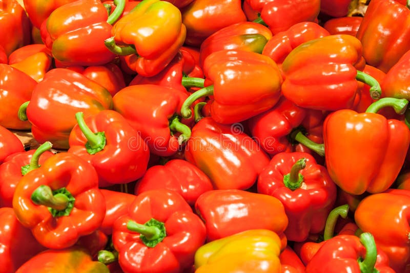 Many Fresh Red Sweet Pepper Stock Photo - Image of cook, healthy: 26310716
