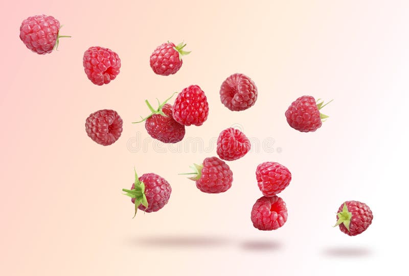 Many Fresh Ripe Raspberries Falling on Pink Background Stock ...