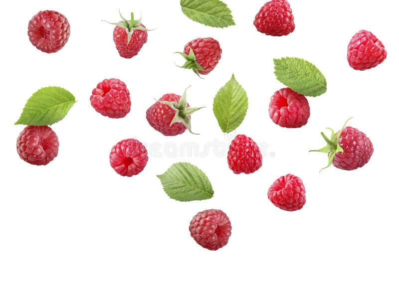 Many Fresh Ripe Raspberries and Green Leaves Falling on White ...