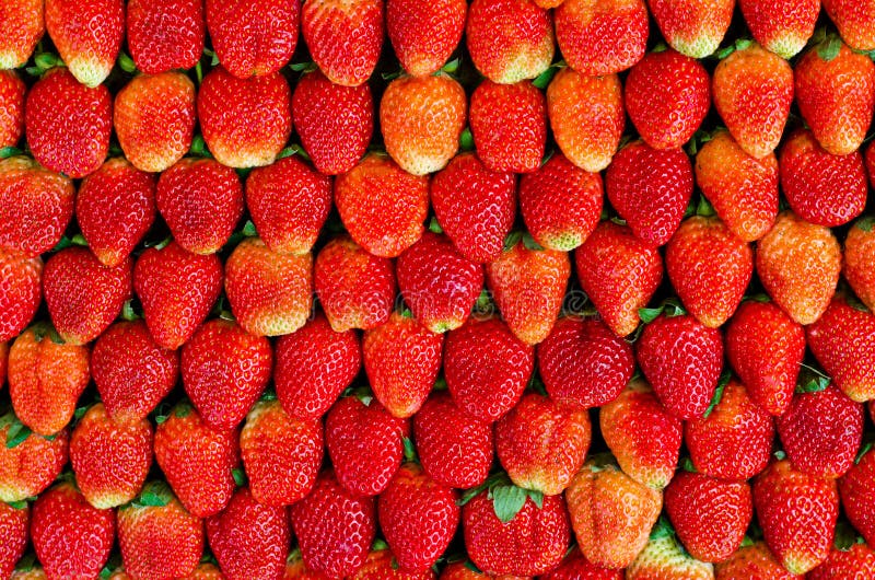 Many fresh strawberries stock image. Image of diet, sweet - 22845799