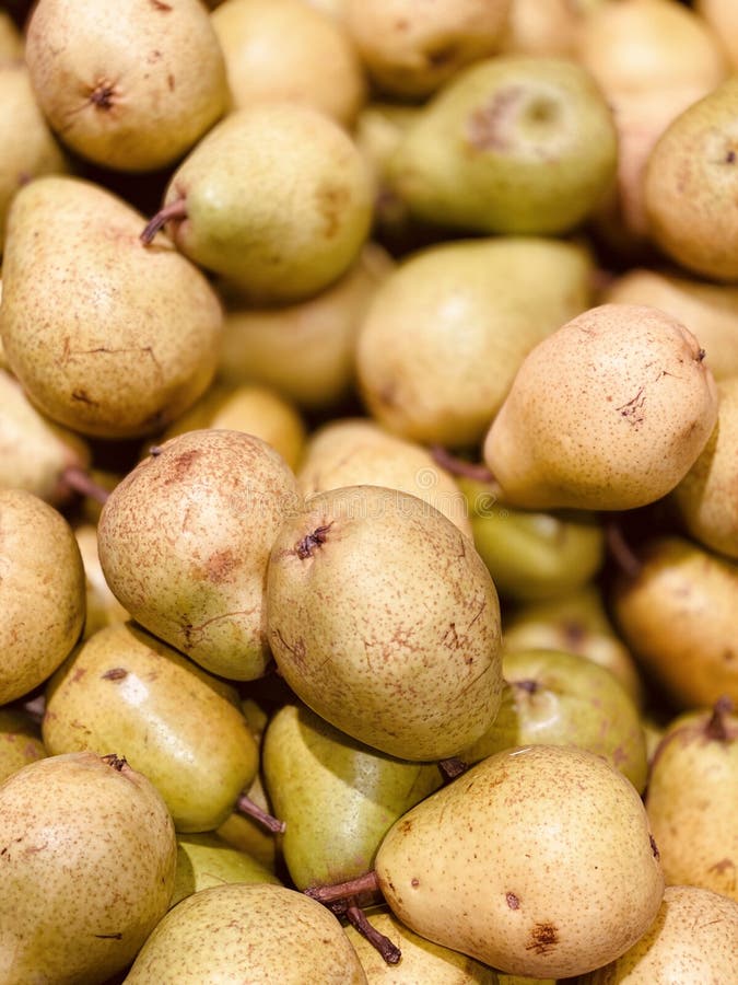 Many fresh yellow pears stock image. Image of healthy - 171226313