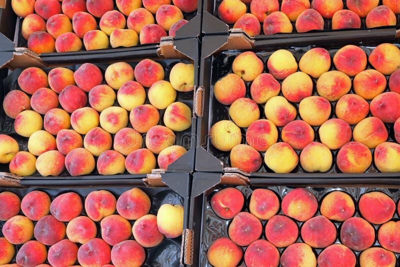 Peaches in Trays on Display Stock Photo - Image of vegetarian, harvest ...