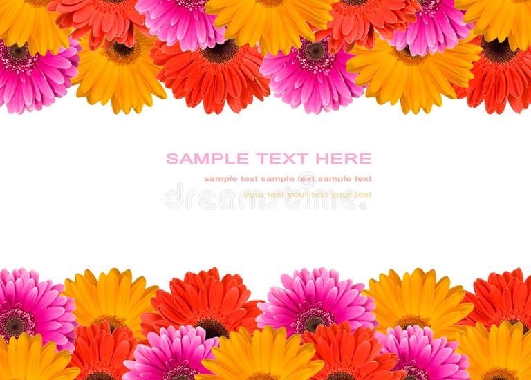 Many Gerberas and Blank Place for Text Stock Image - Image of petal ...