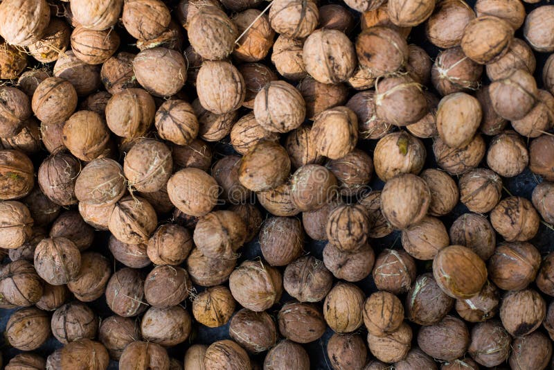 Many Greek Walnuts. Greek Nuts in a Box. Texture Nuts Background Stock ...