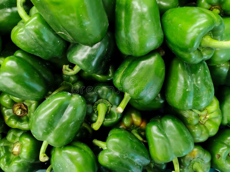 Green peppers in a box stock image. Image of bell, green - 57831117