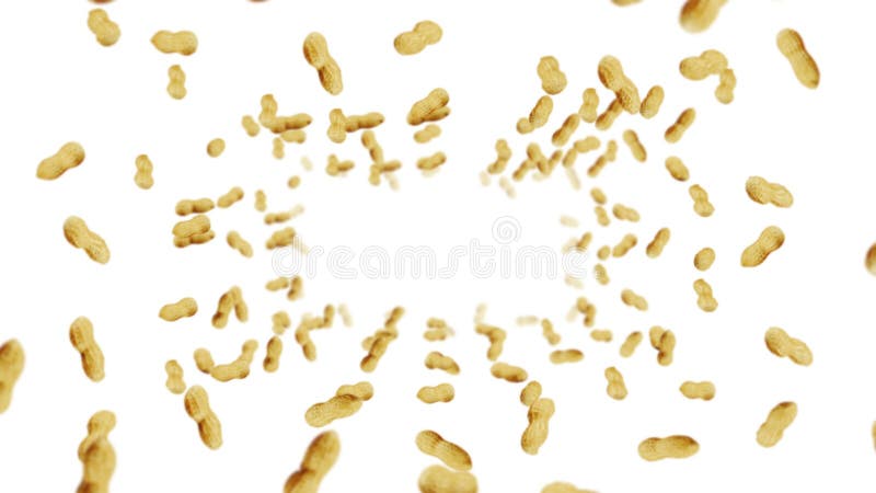 Flying Many Peanuts on White Background. Raw Peanuts. Groundnuts in ...