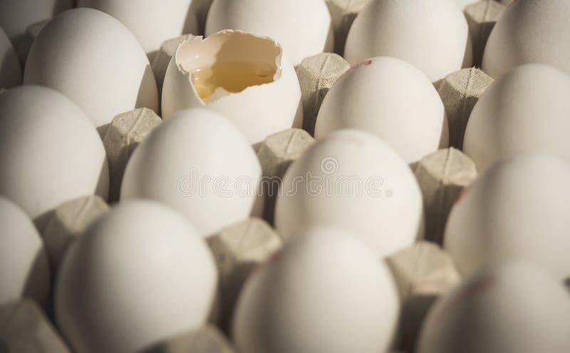 Many Intact Eggs and One Broken Egg Shell with Visible Egg Yolk ...