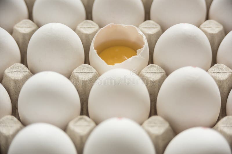 Many Intact Eggs and One Broken Egg Shell with Visible Egg Yolk ...