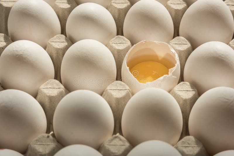 Many Intact Eggs and One Broken Egg Shell with Visible Egg Yolk ...
