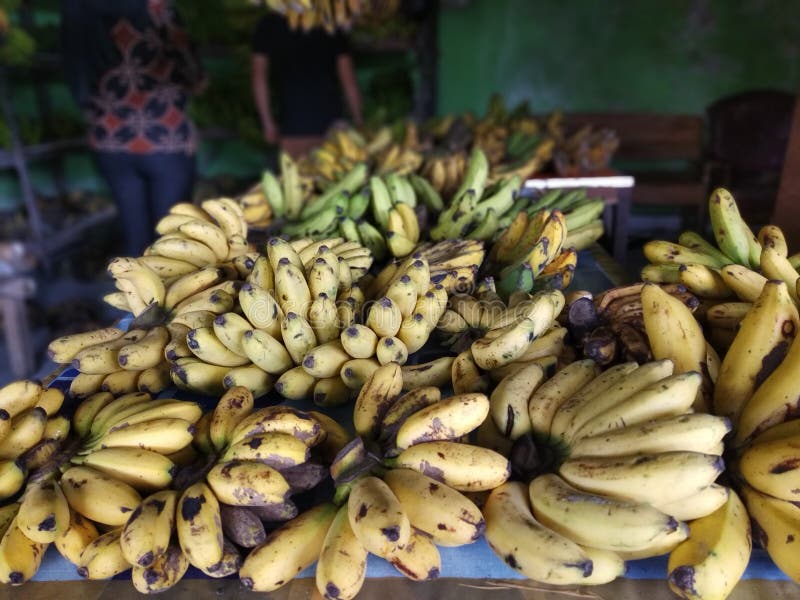 Many Kinds of Bananas on Display Stock Image - Image of display, leaf ...