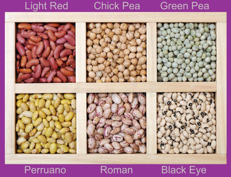 Many kinds of beans stock photo. Image of green, collect - 28456520